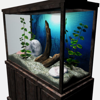fish tank 3d model