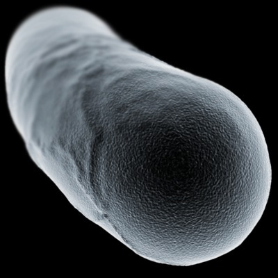 microscopic bacillus bacterial cell 3d model