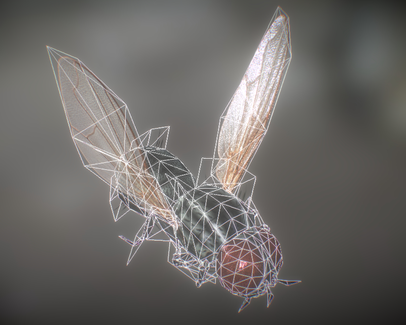 house fly 01 3d model