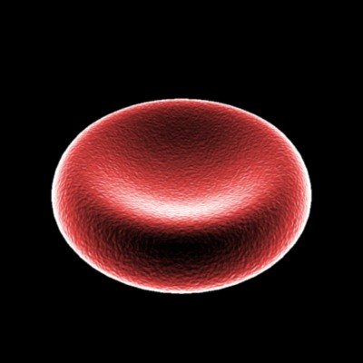 microscopic cells 3d model