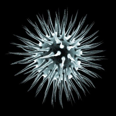 microscopic cells 3d model