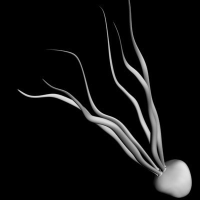 microscopic cells 3d model