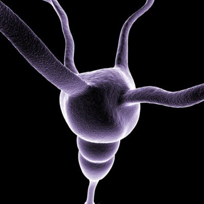 microscopic cells 3d model