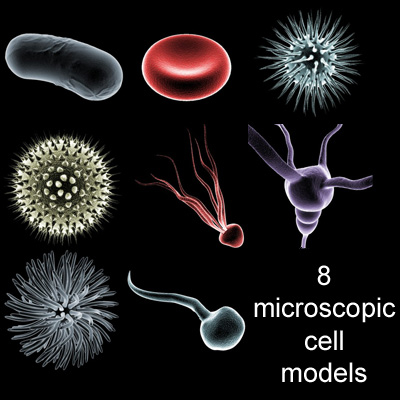 microscopic cells 3d model
