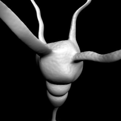 microscopic cells 3d model