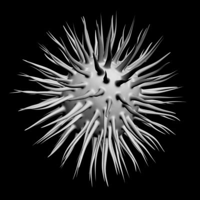 microscopic cells 3d model