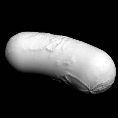 microscopic cells 3d model