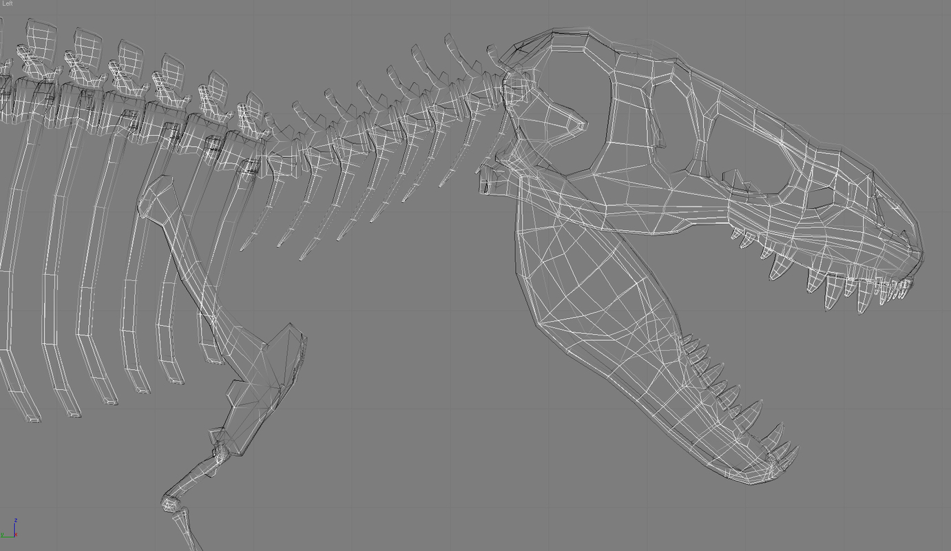 t-rex skeleton 3d model