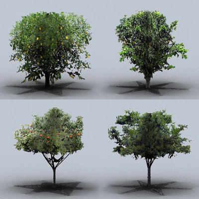 3d fruit trees model