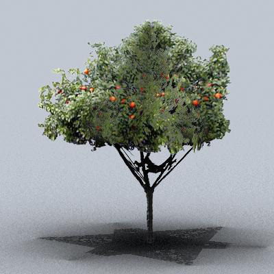 3d fruit trees model