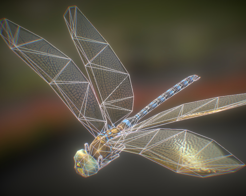 dragonfly 01 3d model
