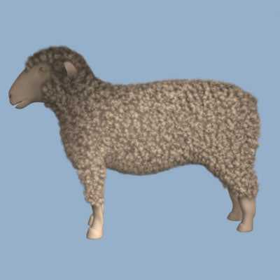 3d sheep model