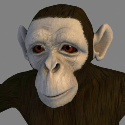 3d monkey model