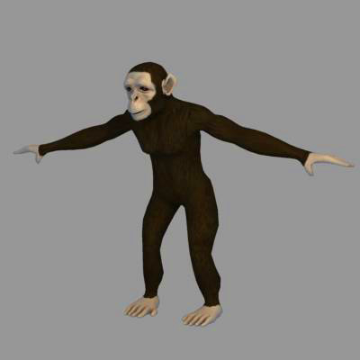 3d monkey model