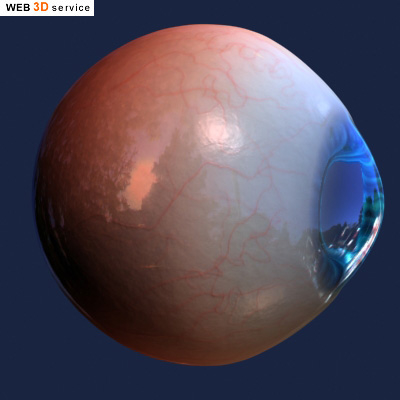 realistic human eye 3d model