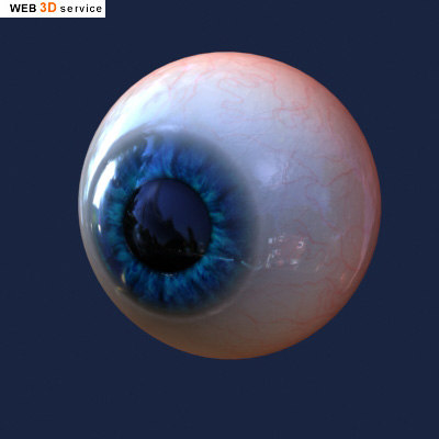 realistic human eye 3d model