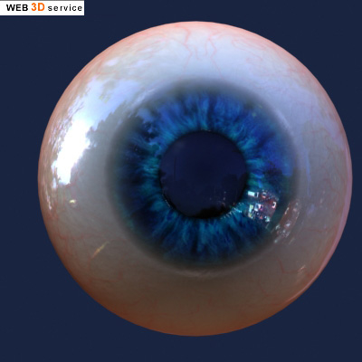 realistic human eye 3d model