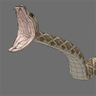 snake rattlesnake 3d model