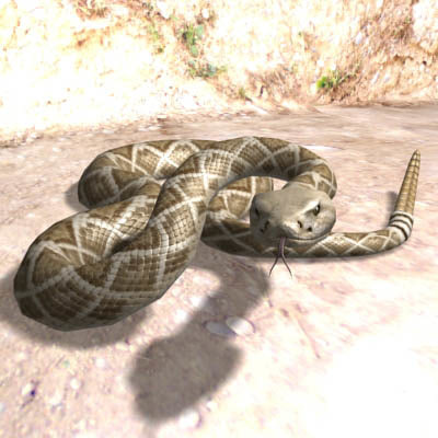 snake rattlesnake 3d model