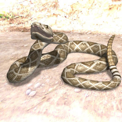 snake rattlesnake 3d model