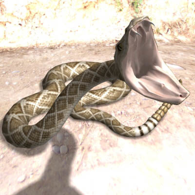 snake rattlesnake 3d model