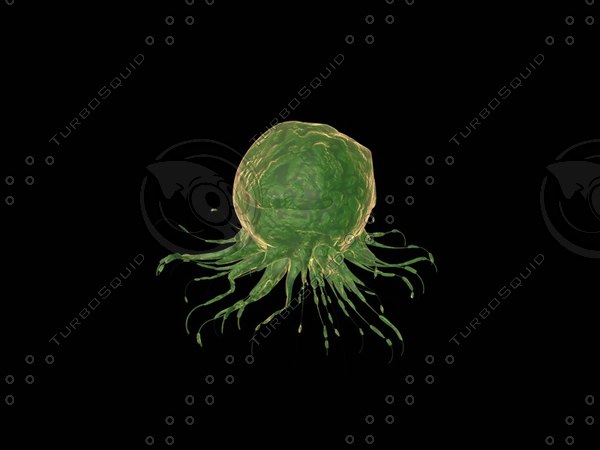 cancer cell 3d model