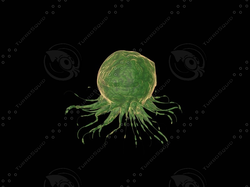 cancer cell 3d model