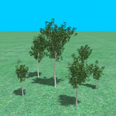 3ds grove maple trees
