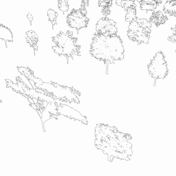 trees 3d model