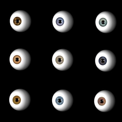 3d eye model