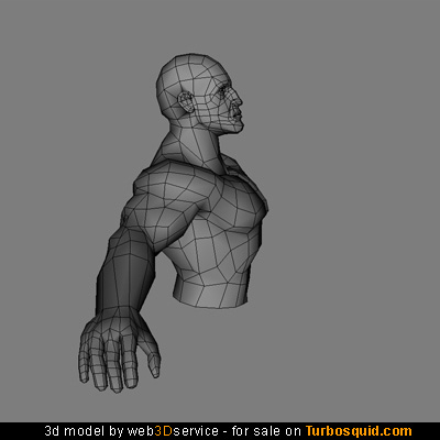 heroic male torso character 3d model