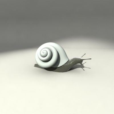 Snail 3D Models for Download | TurboSquid