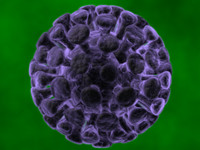 schematic dna 3d model