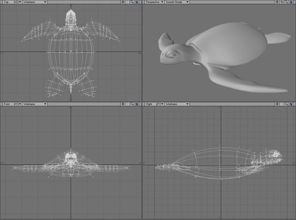 maya green sea turtle