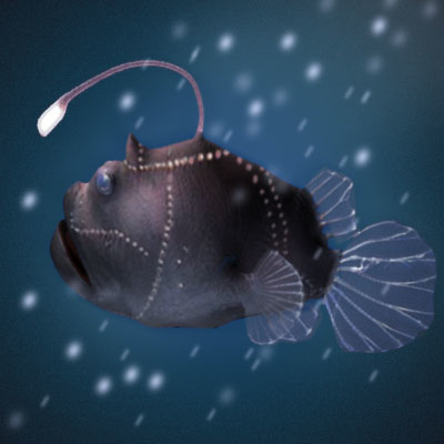 triplewart seadevil fish 3d model