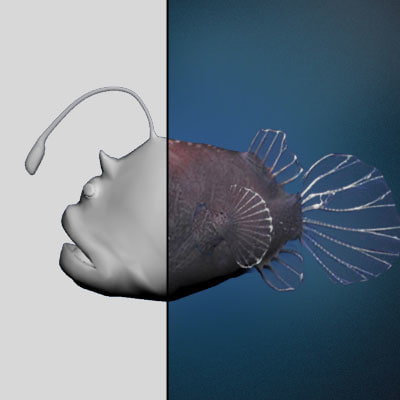 triplewart seadevil fish 3d model