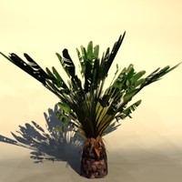 3d tropic level ps2 trees bushes model
