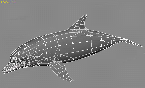 3d dolphin model