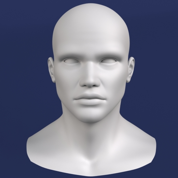 3d male head model