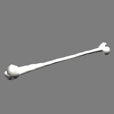 Free 3D Bones Models | TurboSquid