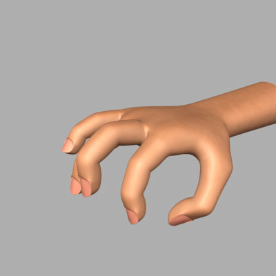 3d realistic human hand animation model