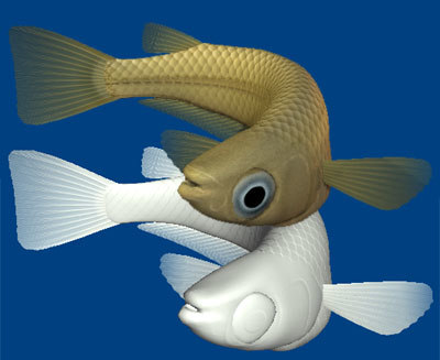 japanese rice fish swimming 3ds