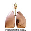 respiratory bronchus windpipe 3d model