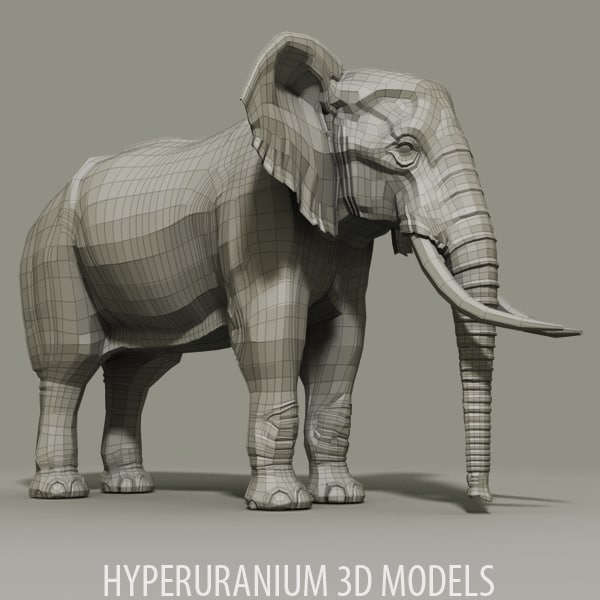 african elephant 3d model