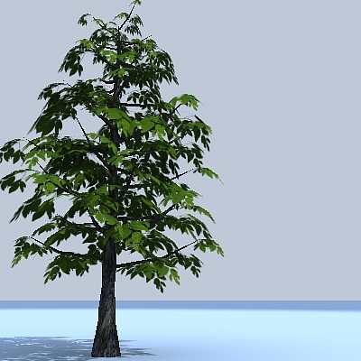 3d tree model