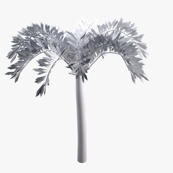 3ds max palm tree