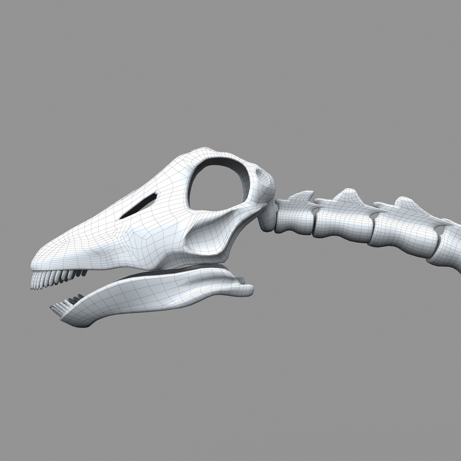 diplodocus skeleton 3d model