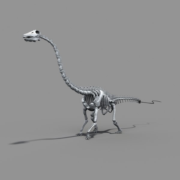 diplodocus skeleton 3d model