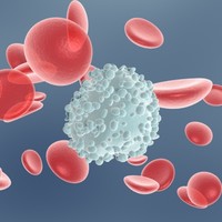 white blood cell 3d model