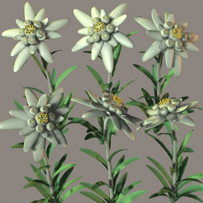 3d 3ds edelweiss